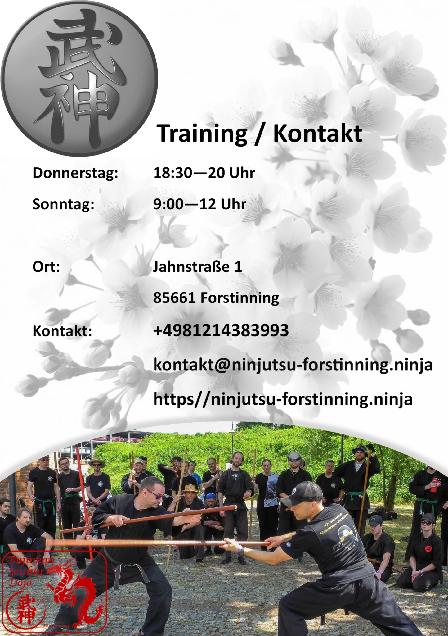 Dojo – Flyer – Bujinkan Seishin Dojo Forstinning